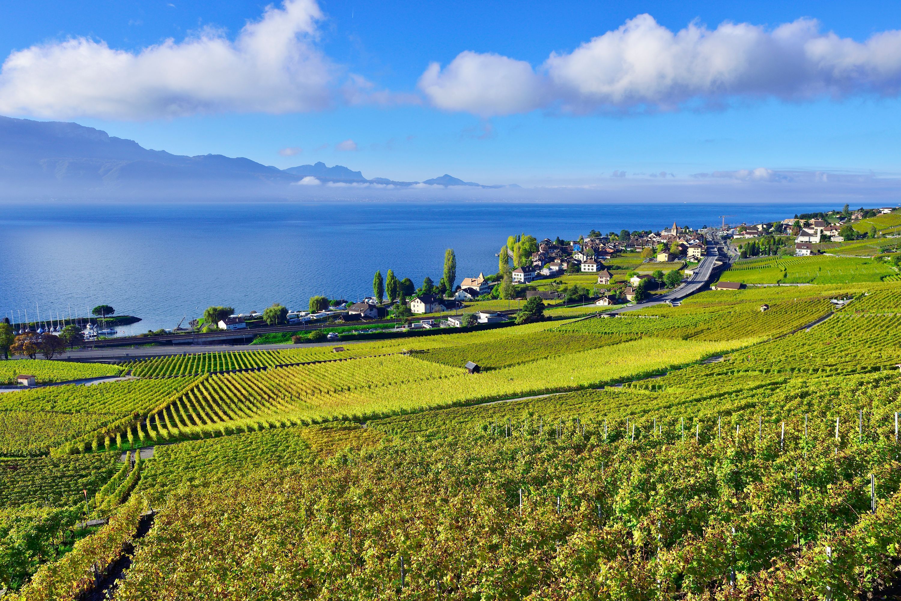 Montreux, Switzerland Holiday Rentals, Apartments & Condos - HotelsCombined