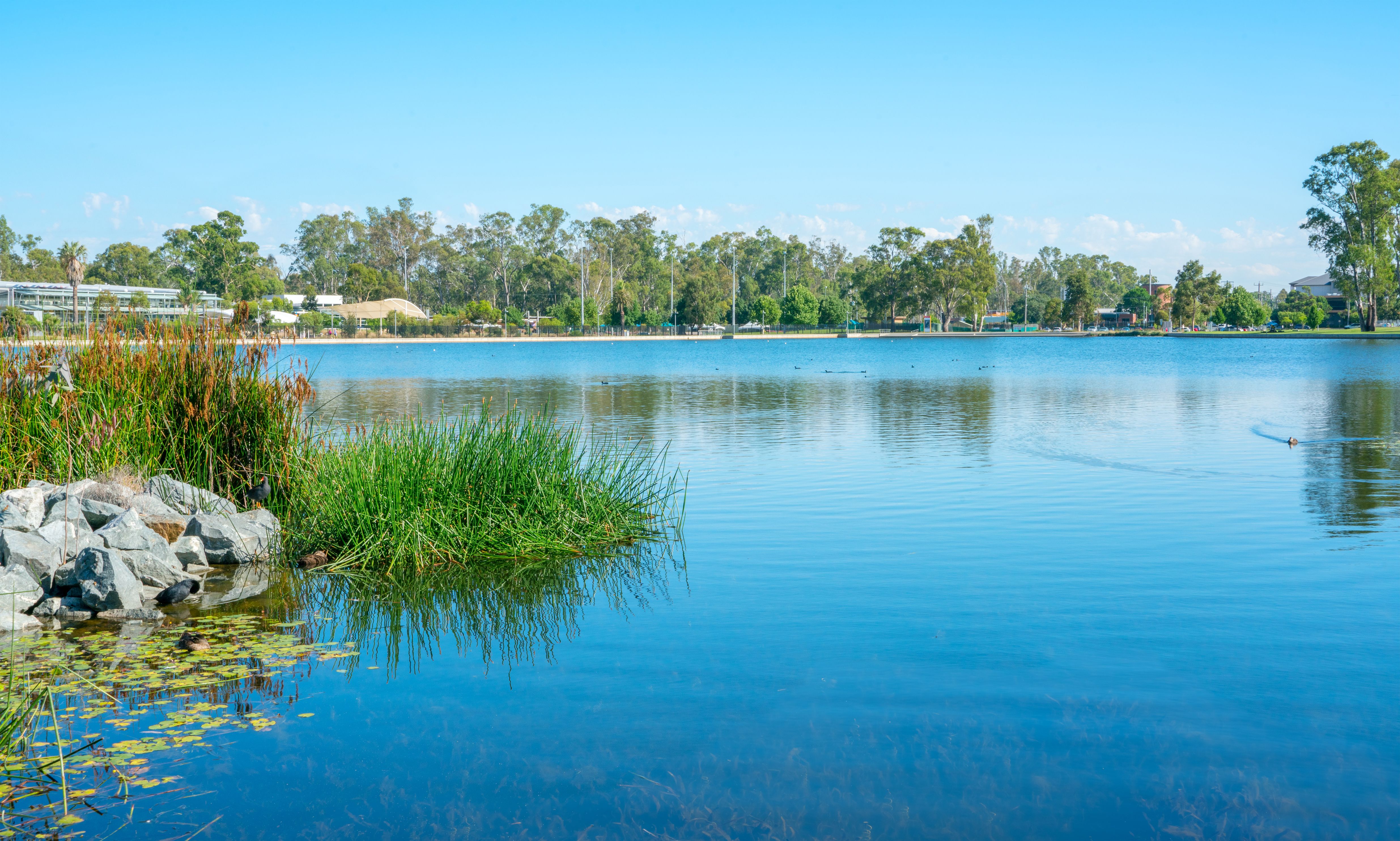 Shepparton Hotels: 73 Cheap Shepparton Hotel Deals, Australia