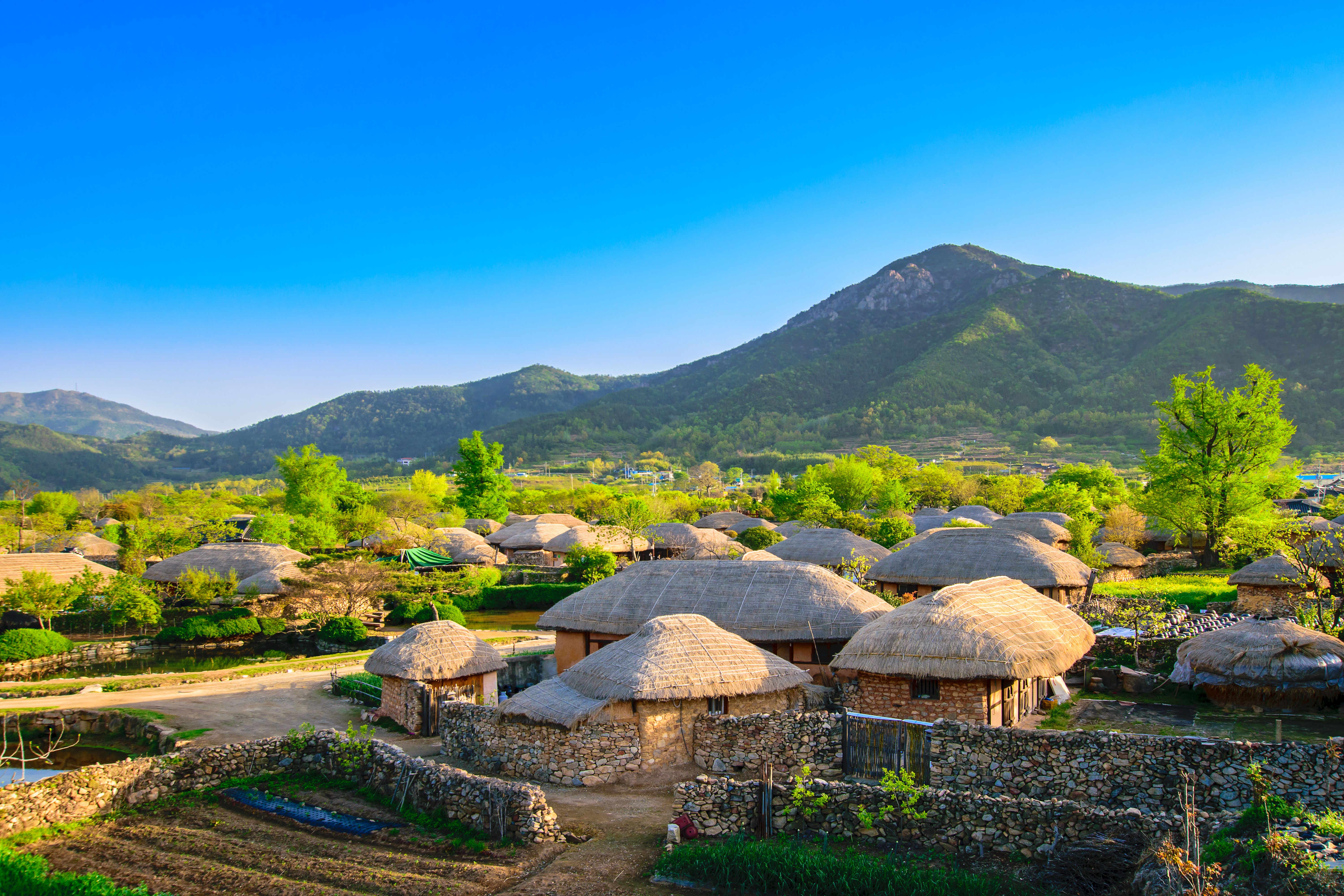 Suncheon Hotels: 276 Cheap Suncheon Hotel Deals, South Korea